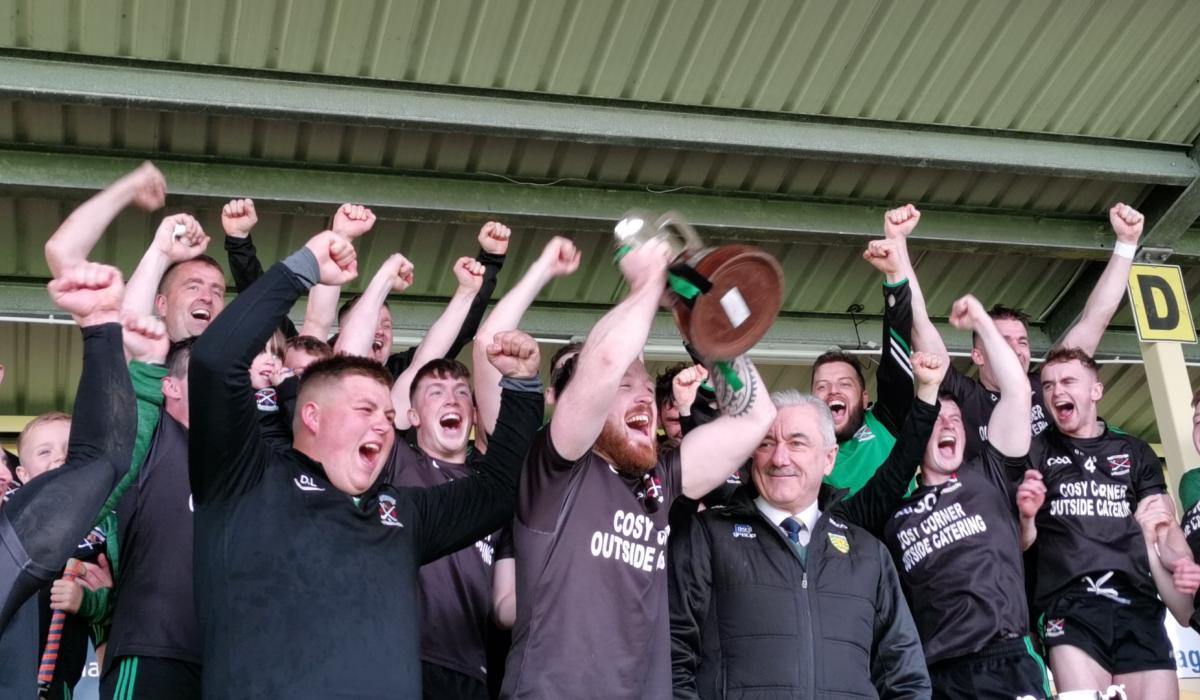 Goals prove decisive as Setanta clinch Senior Hurling title - Donegal Live