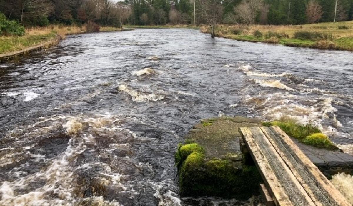 McHugh's Miscellany: The first bradán caught on the Drowes River has ...