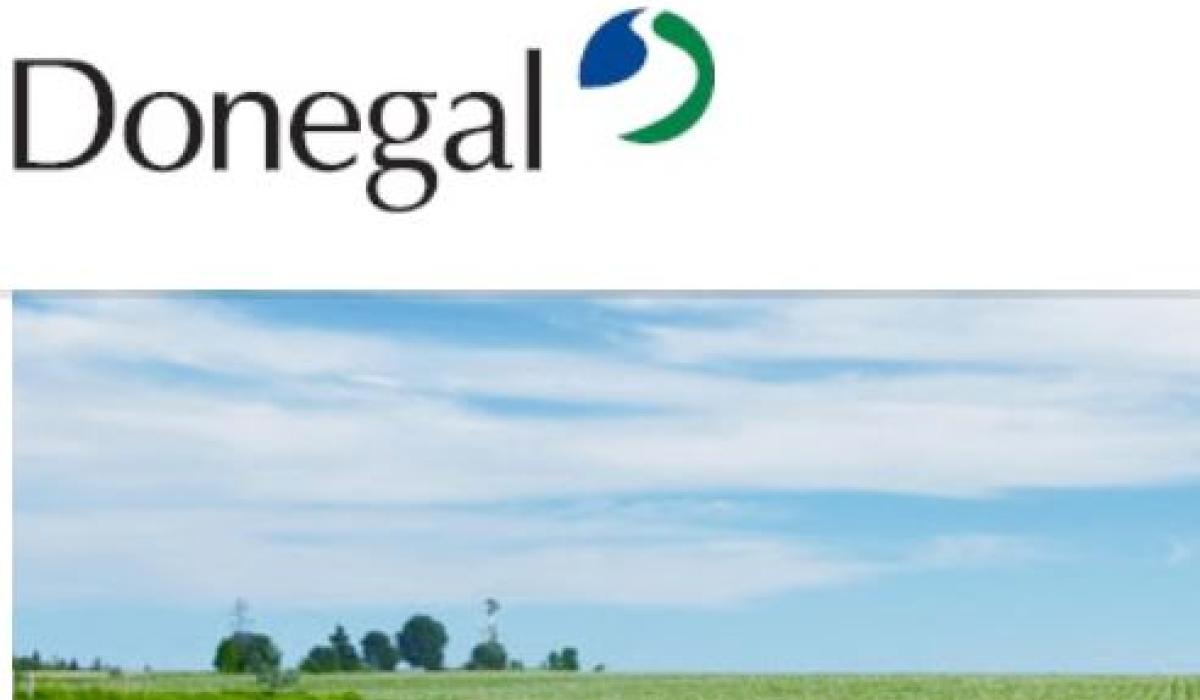 Profits down at Donegal Investment Group - whose businesses include ...