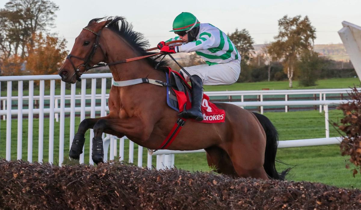 Jockey Conor Orr on the double at Down Royal and Cork last weekend ...
