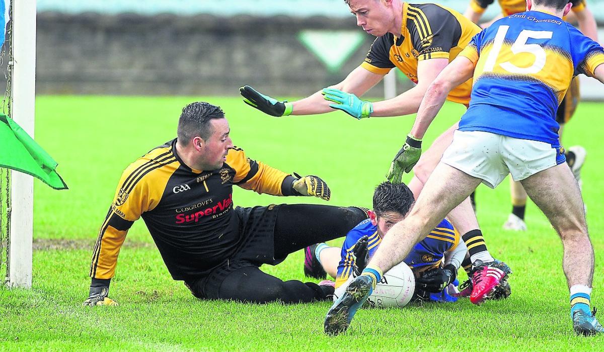 'The Cat' Mulhern hoping for semi-final breakthrough with Bundoran in ...