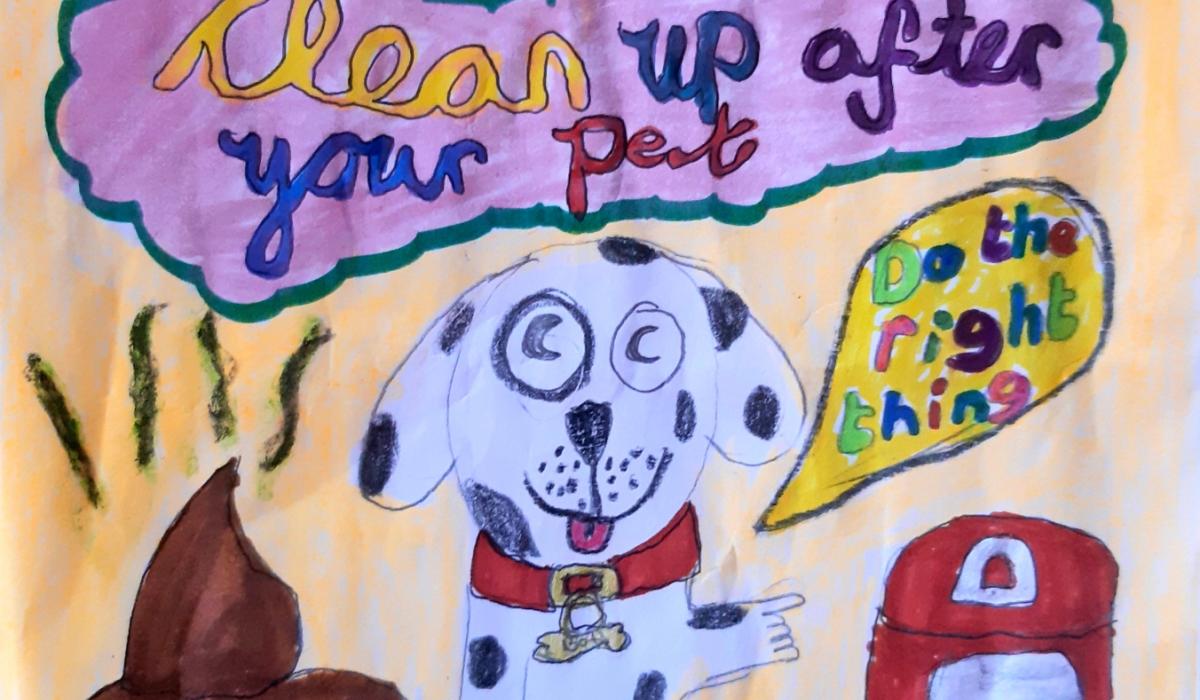 Buncrana girl's “Scoop the Poop” poster picked for new campaign ...