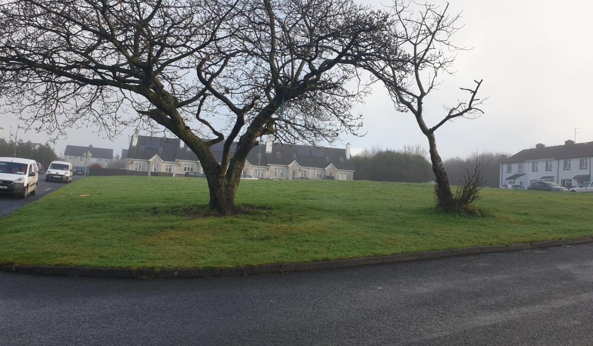 Residents of Donegal housing estate vent their frustration over ...