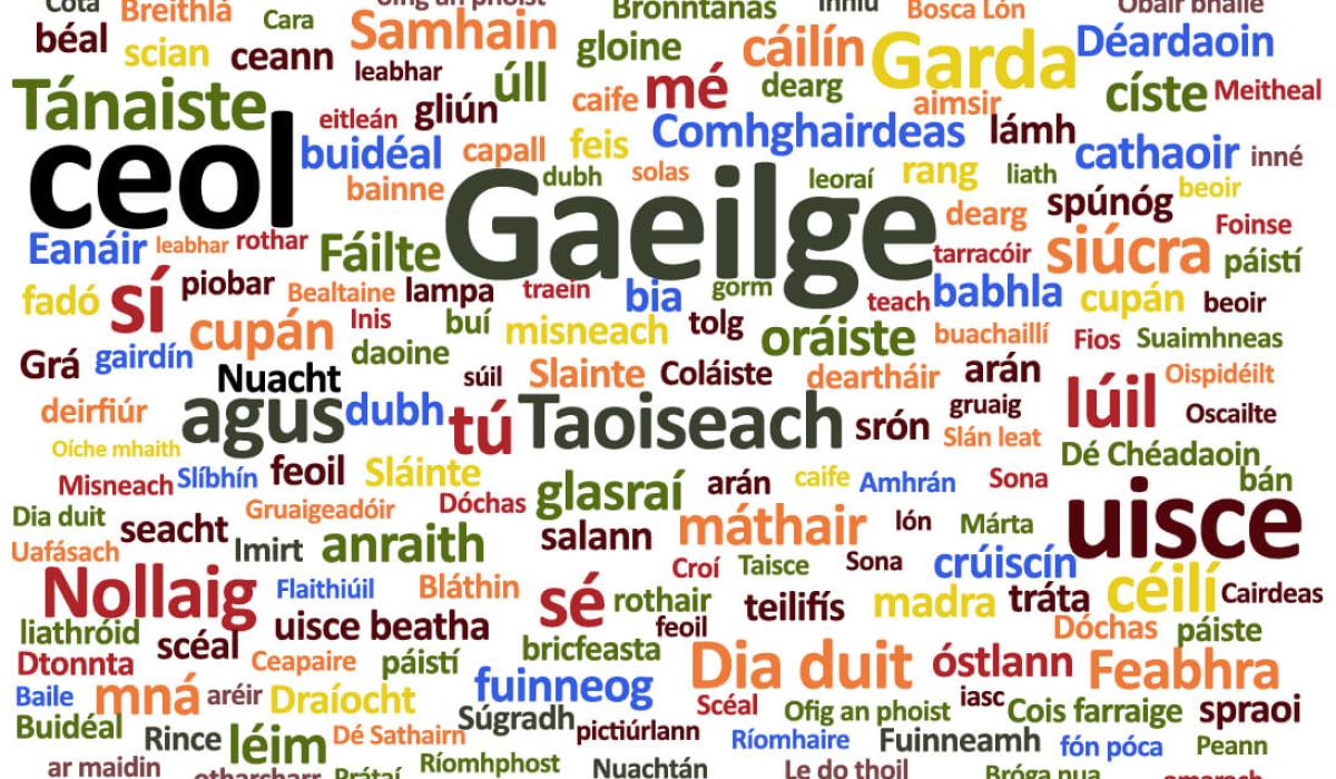 IRISH COLUMN: Learn how to speak Irish quickly and simply - Donegal Live
