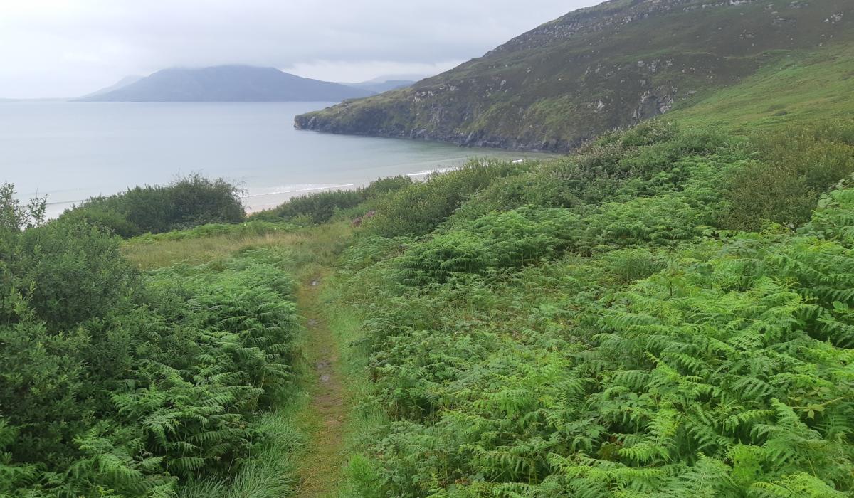 WEATHER: A mild day with clear and dry conditions in the afternoon ...