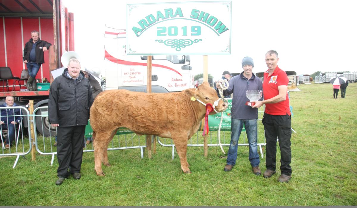 Final countdown to this year's Ardara Show this Saturday - Donegal Live