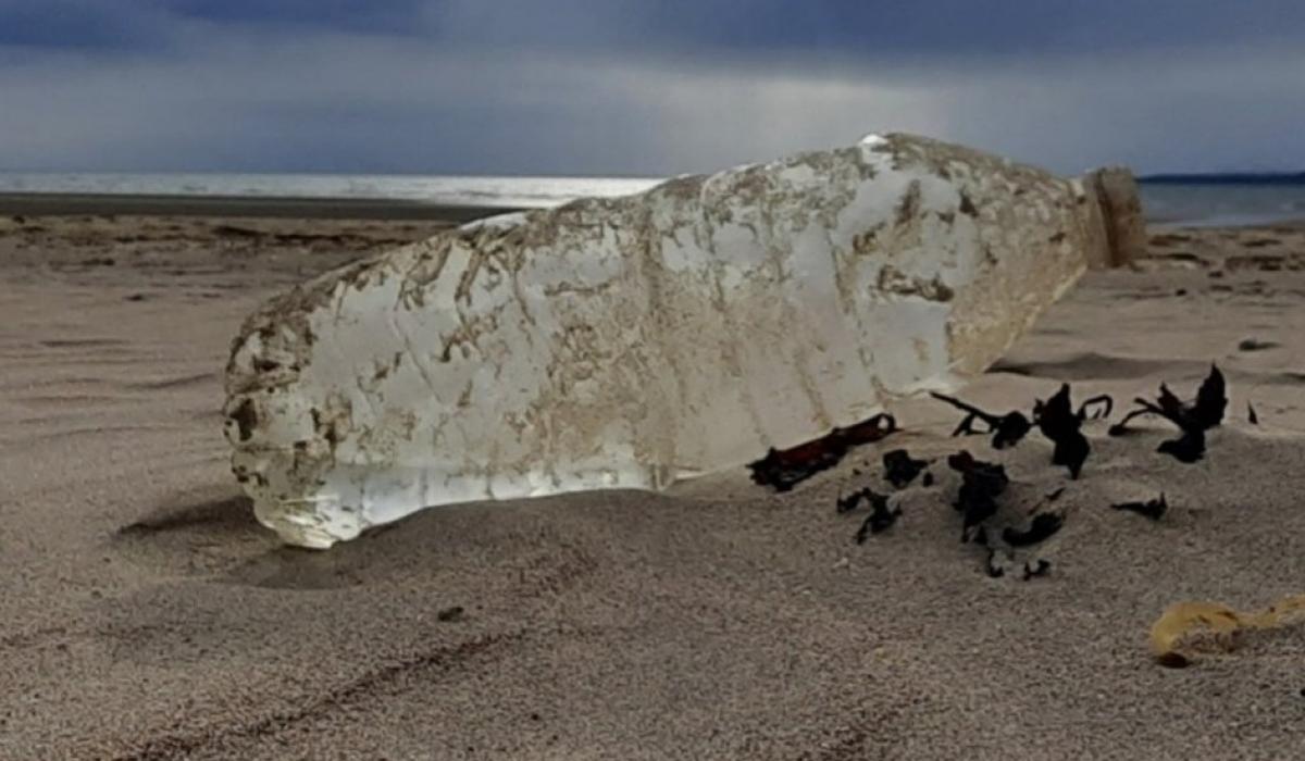 Latest coastal litter results do not reflect well on Donegal ...
