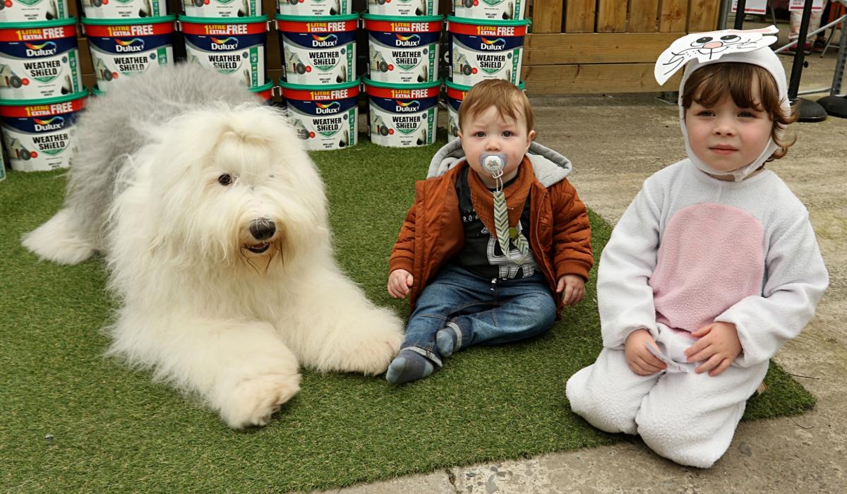 In Pictures: Dulux dog joins Donegal Town Hardware's 25th birthday ...