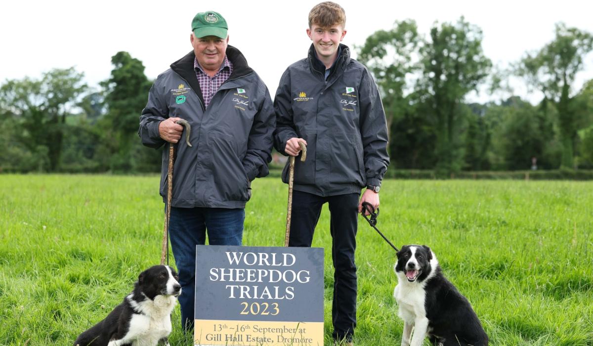 Ballybofey man and grandson to compete at World Sheepdog Trials ...
