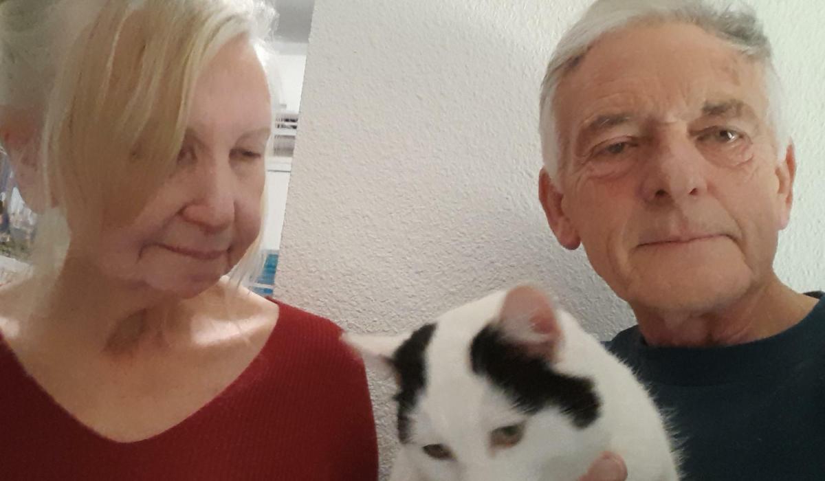 Inver couple who lost cats in car crash in France reunited with one of ...