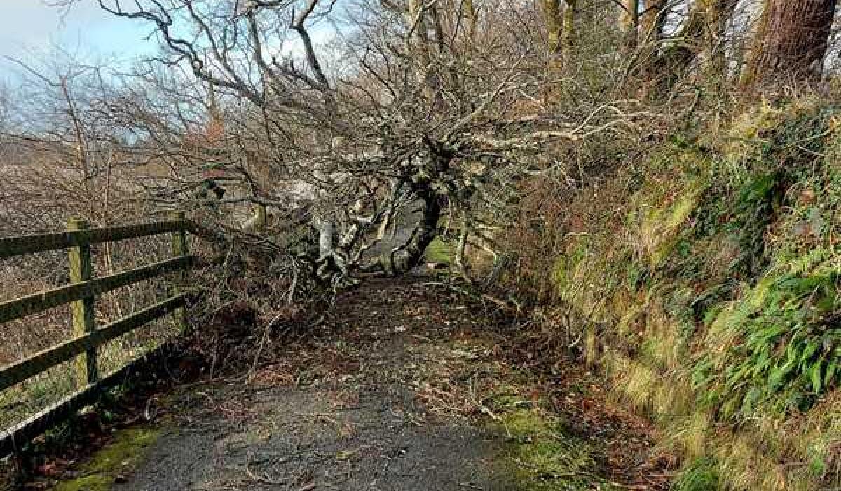 In pictures: The after-effects of Storm Isha's visit to Donegal - Page ...