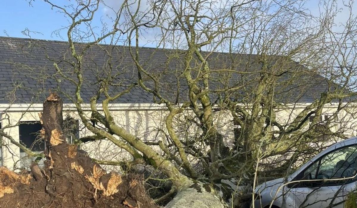 Storm Isha: Crossroads family has lucky escape as van cushions falling ...