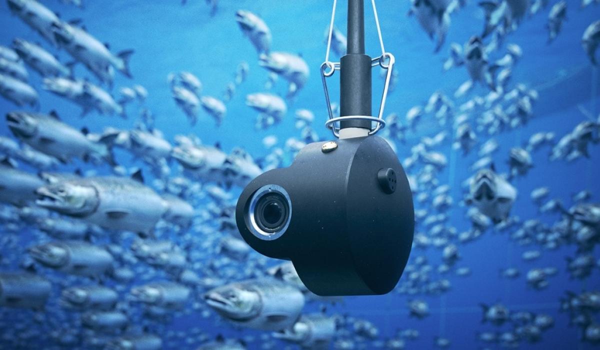 Donegal acquatech businesses encouraged to apply for BIM mentoring ...