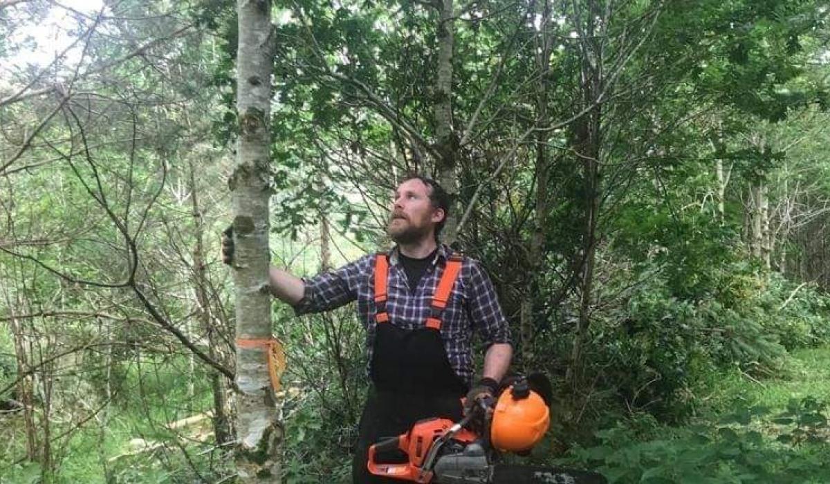 Donegal forestry and compost producers shortlisted for RDS Awards ...