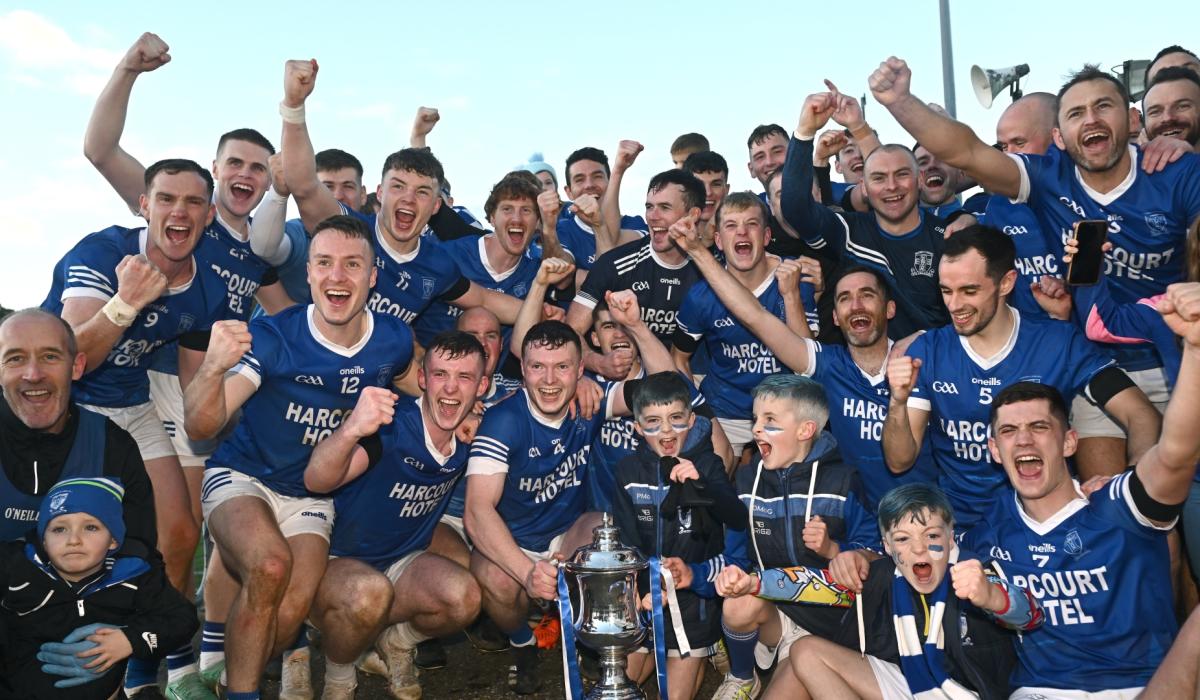 Here's all of the draws for the 2024 Donegal GAA club championships ...