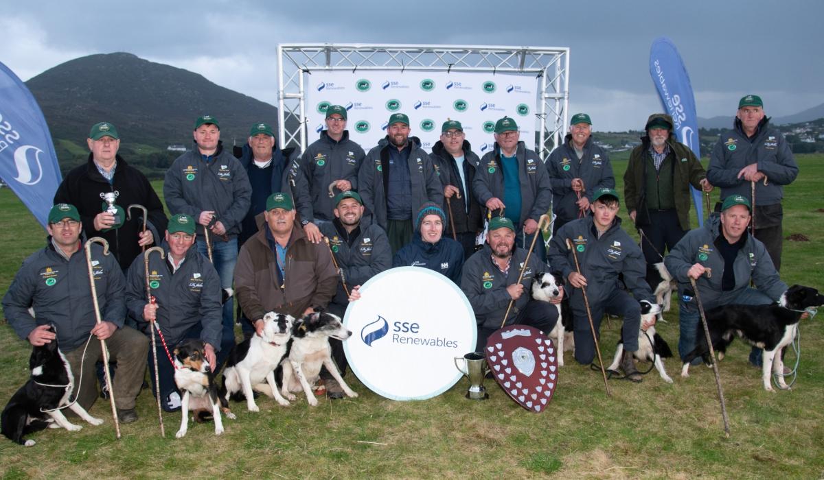 Massive turnout for 'fantastic' Irish National Sheep Dog Trials held in ...