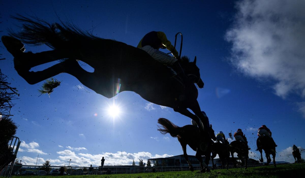 Final horse and pony races of the season to thrill Carndonagh this ...