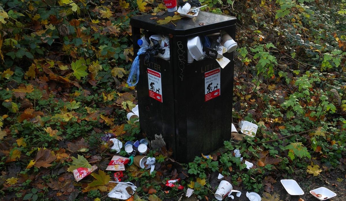 'Why have we only half of a litter warden?' Lifford-Stranorlar ...