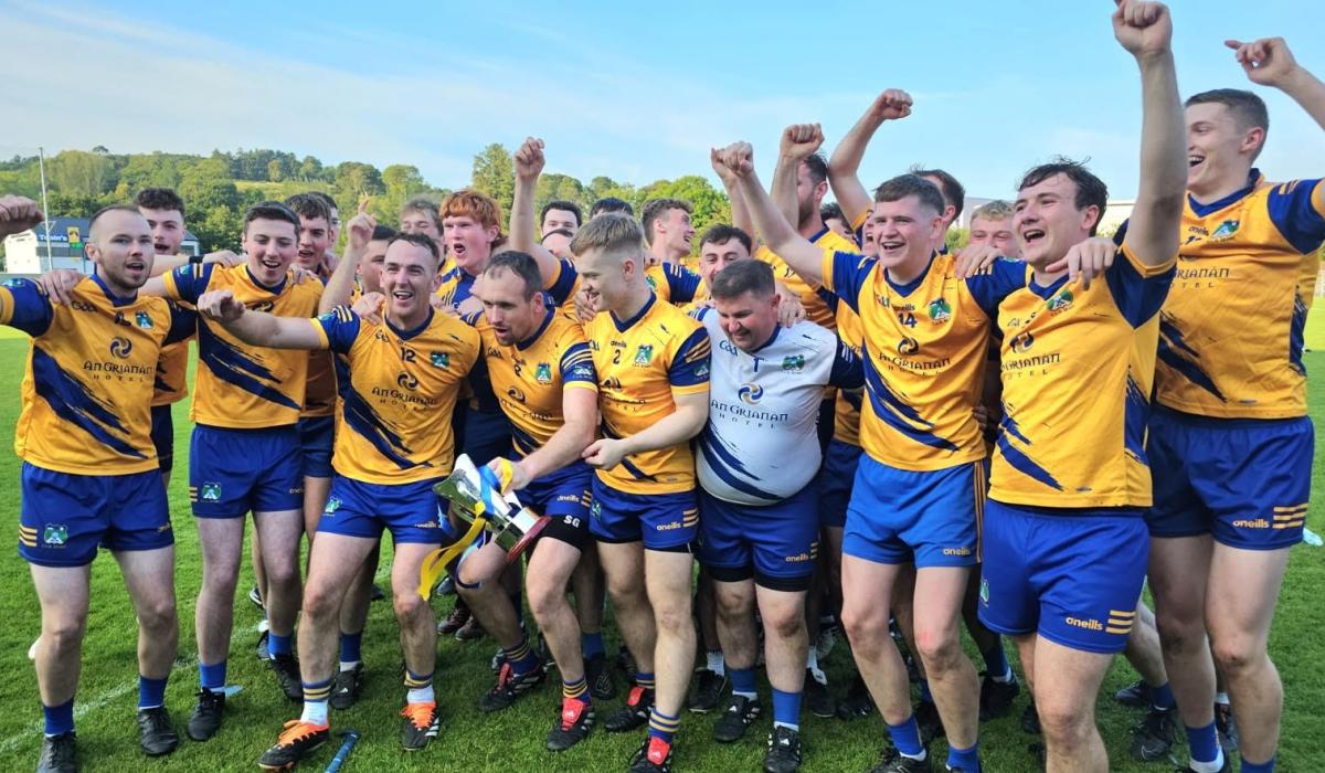 Donegal hurling championship set for revamp in 2025 - Donegal Live