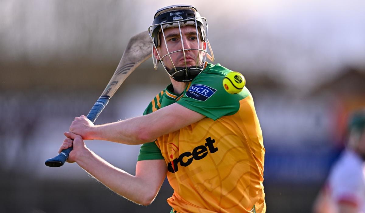 New-found attention buoying Donegal ahead of Lilywhites task - Brian ...