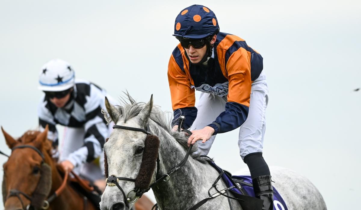 Luke McAteer celebrates another winner at Dundalk on Friday evening ...