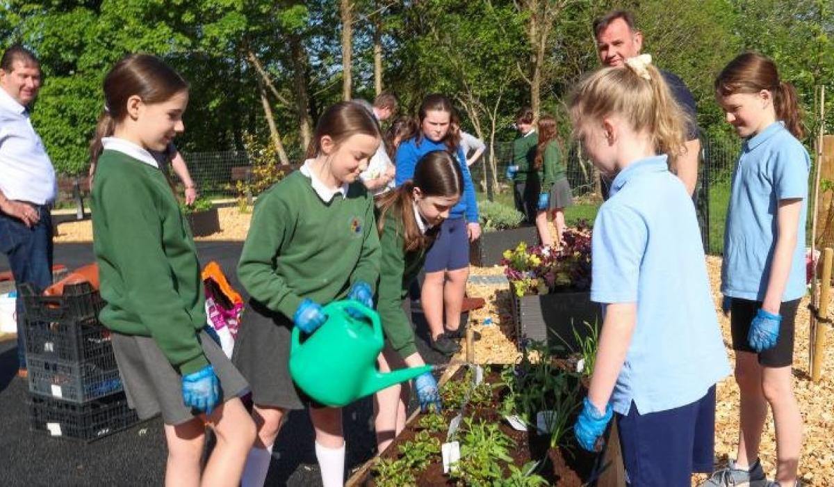 In Pictures: Local children put finishing touches to Laghey Sensory ...