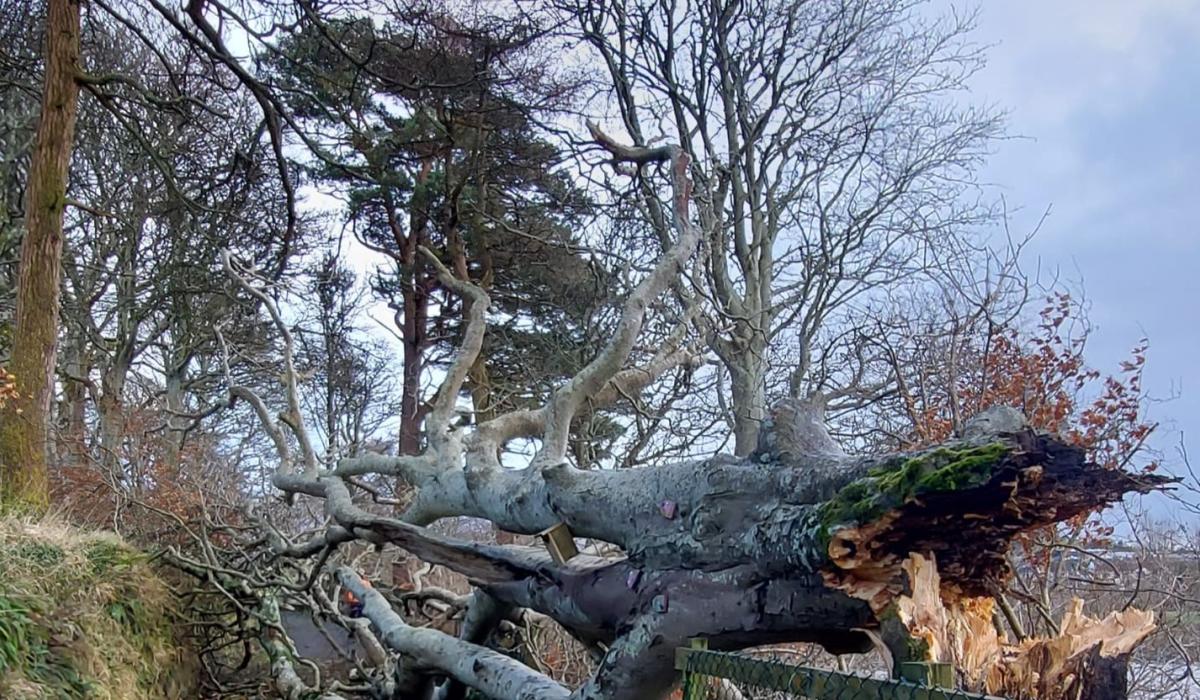 Funding of €10,000 following Storm Éowyn to fully reopen the Bluestack ...