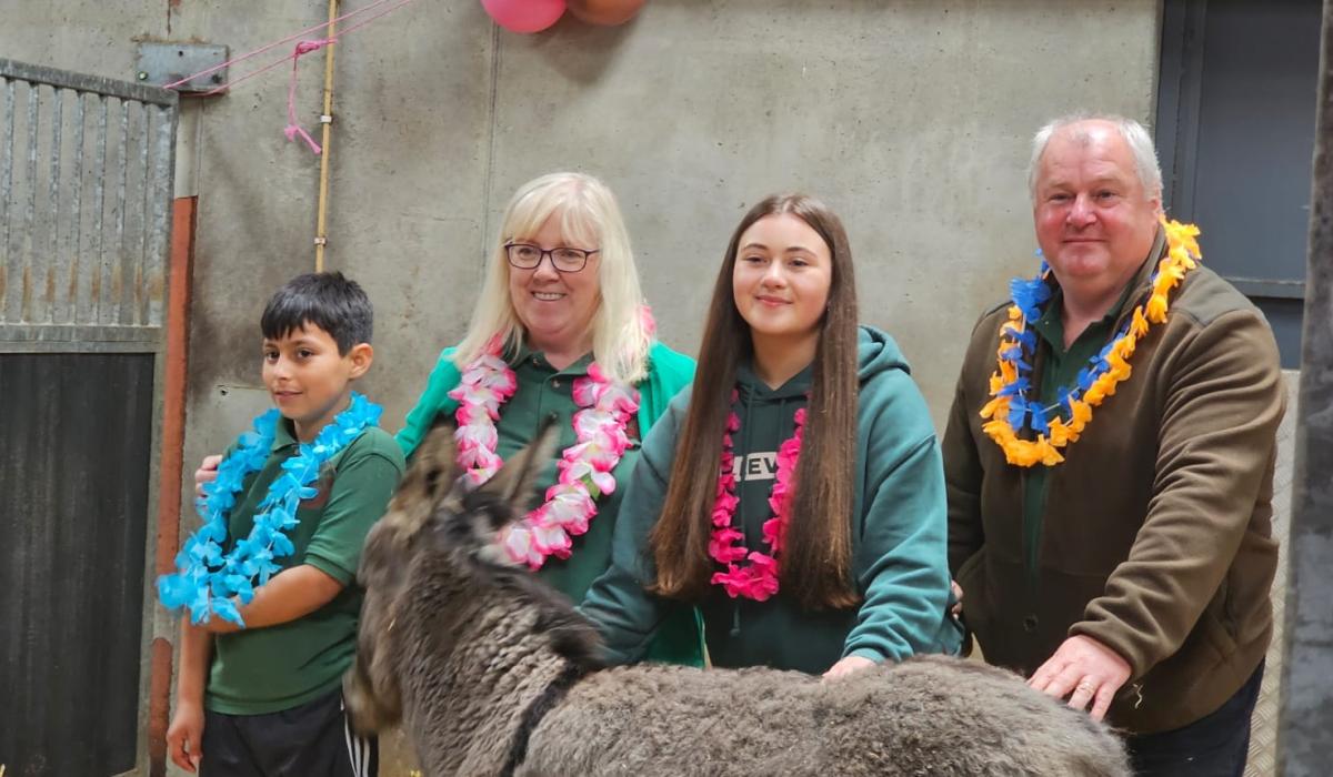 Watch: Donegal Donkey Sanctuary sing 'happy birthday' to Baby Rose in ...