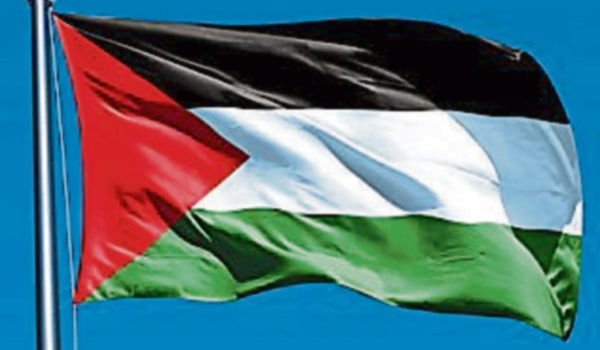 Rossnowlagh to host ‘Dips for Palestine’ fundraiser - Donegal Live