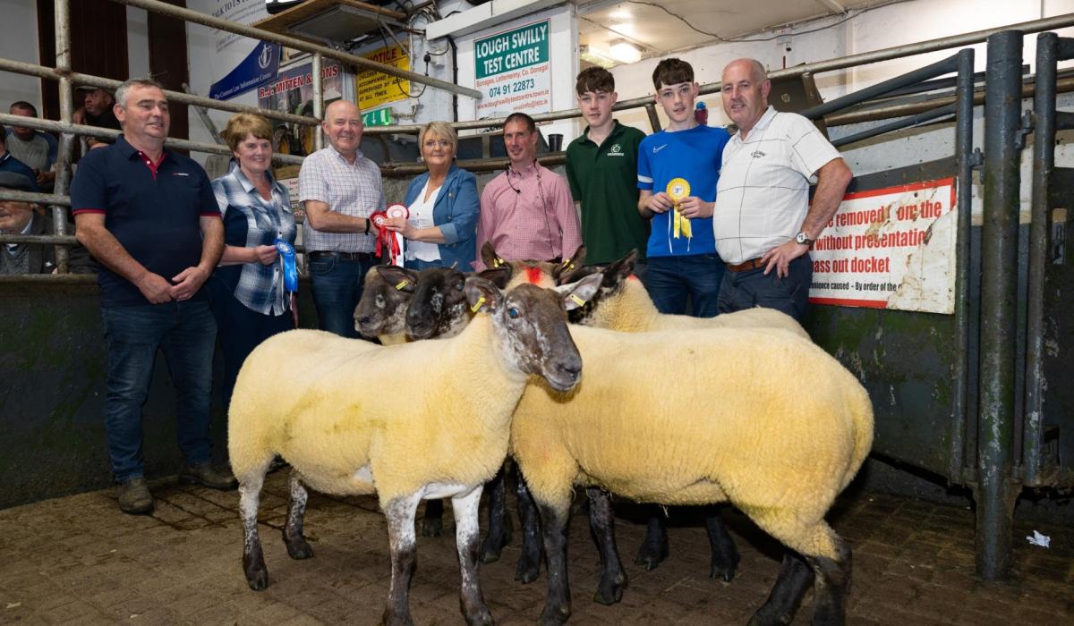 In pictures: Prize-winning hoggets shown and sold at Raphoe Mart - Page ...