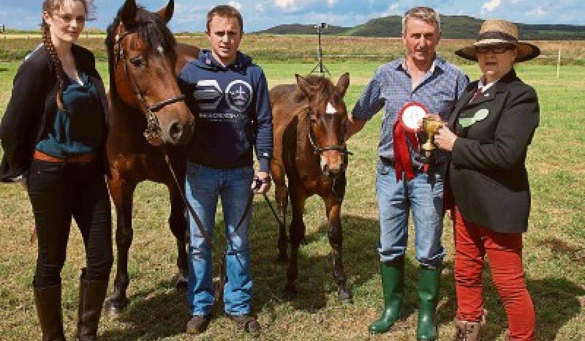 Ardara show set to make a welcome return this Saturday - Donegal Live