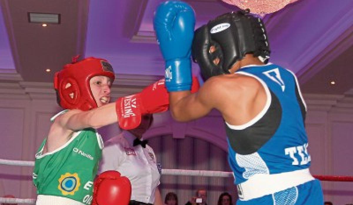 New boxing season ready to take off - Donegal Live
