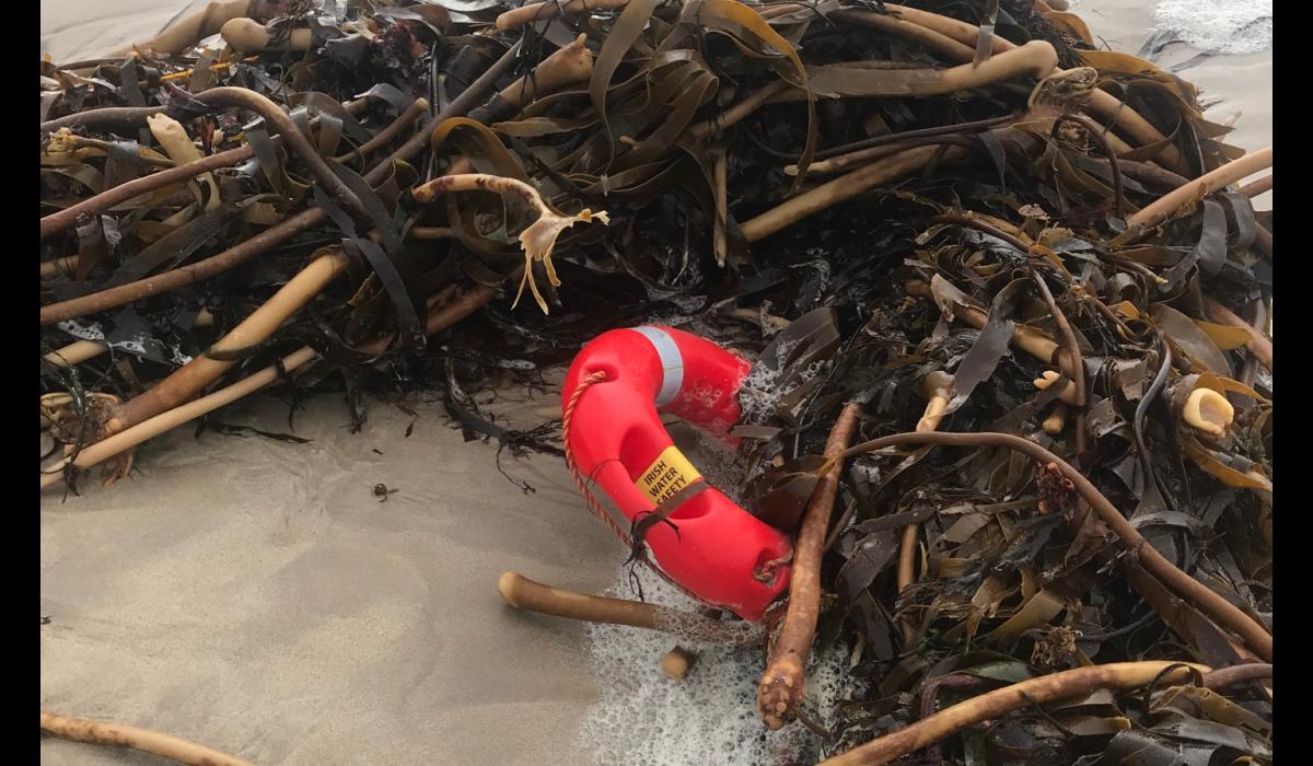 Storm Franklin leaves its mark on Port Arthur beach - Page 1 of 5 ...