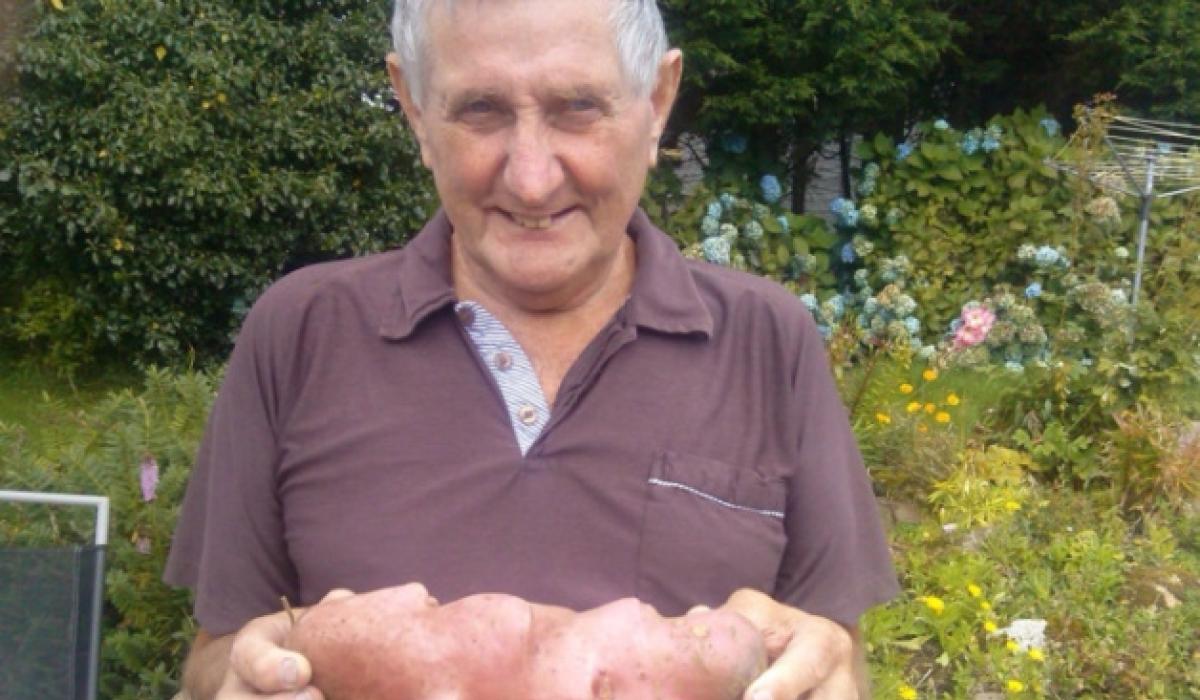 Is this Donegal’s biggest potato? - Donegal Live