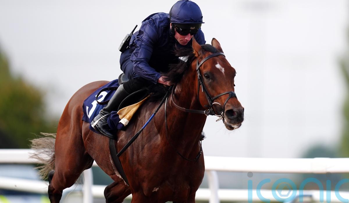 City Of Troy comes through Southwell gallop with flying colours ...