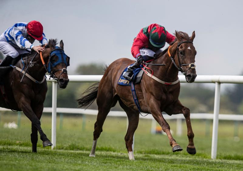 Another great week of winners for Donegal jockeys on Irish Horseracing ...