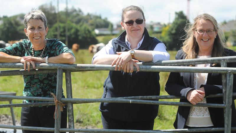 New Bachelor of Veterinary Medicine and Surgery course to be launched ...